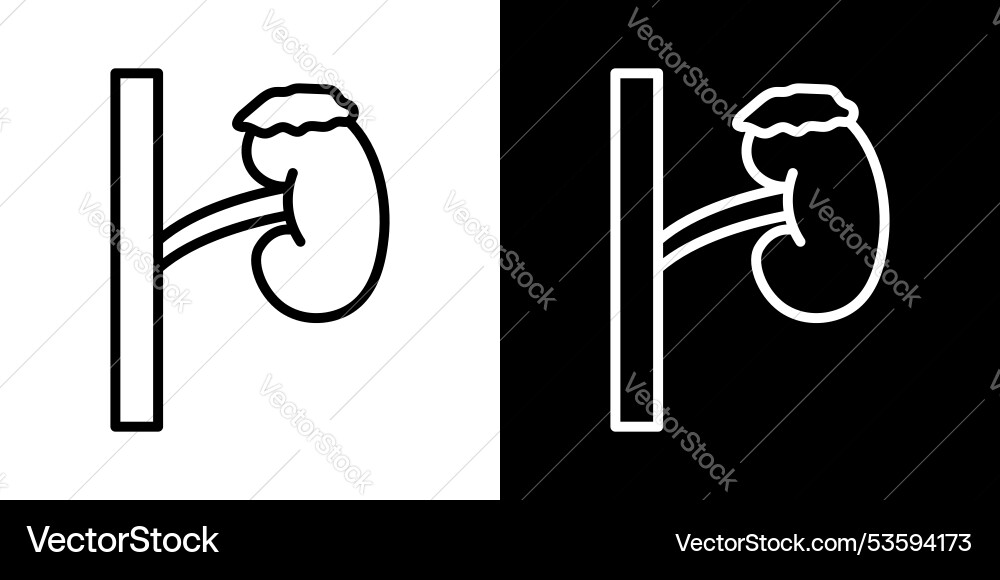 Adrenal gland thin line icon set Royalty Free Vector Image