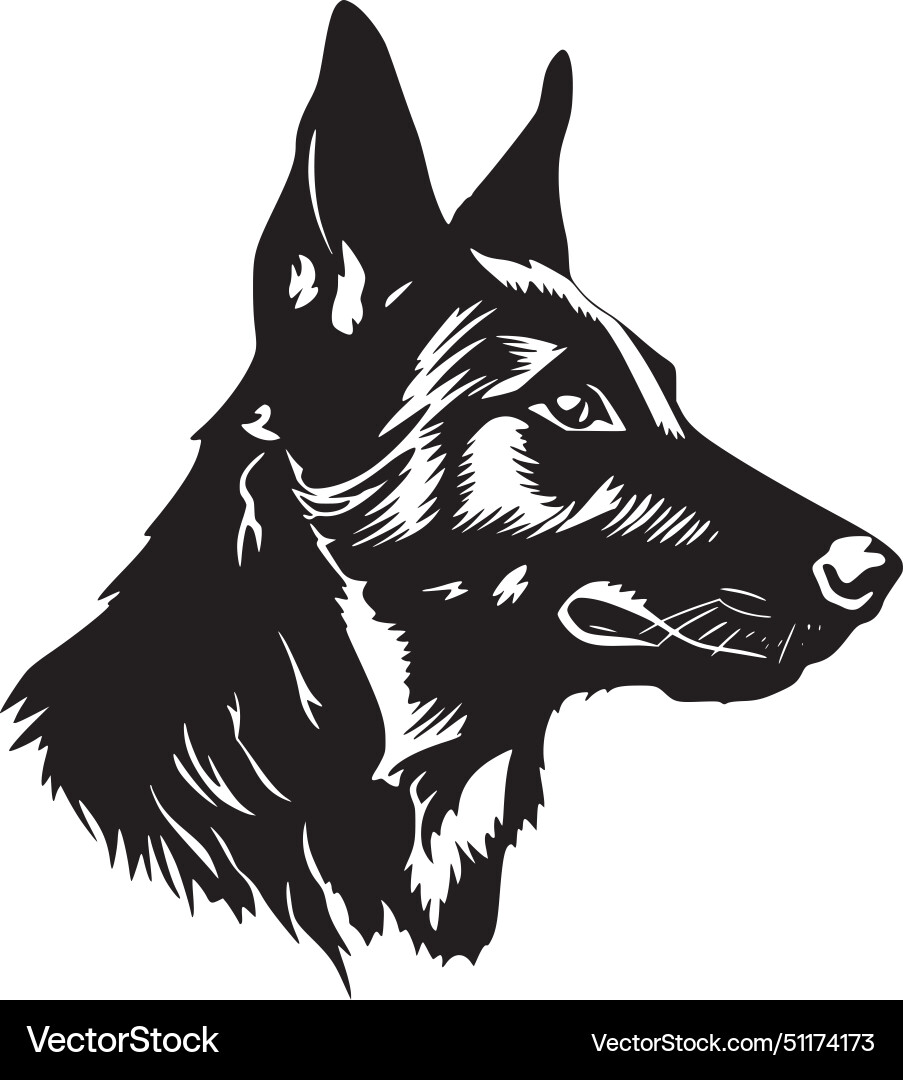 Australian kelpie - high quality logo - ideal for Vector Image