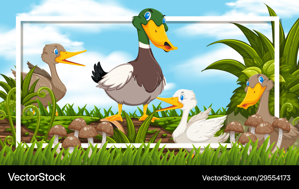 Frame design with ducks in woods background Vector Image