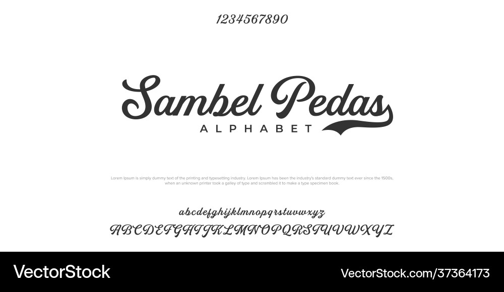 Serif Alphabet Typography - Modern & Minimal Vector Image