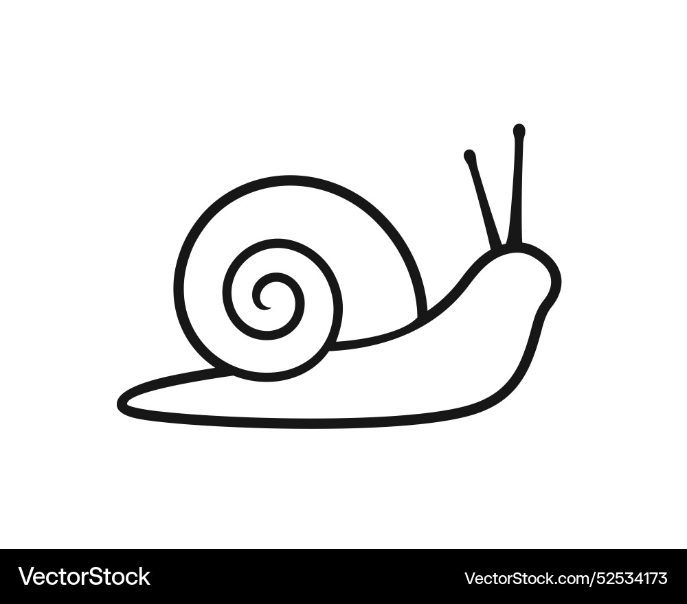 Snail Royalty Free Vector Image - VectorStock