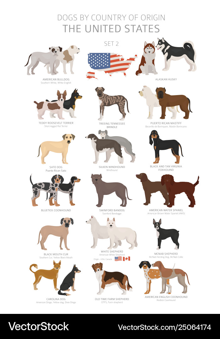 Southern Dog Breeds