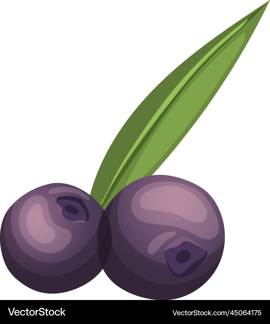 Acai Tree Vector Images (94)