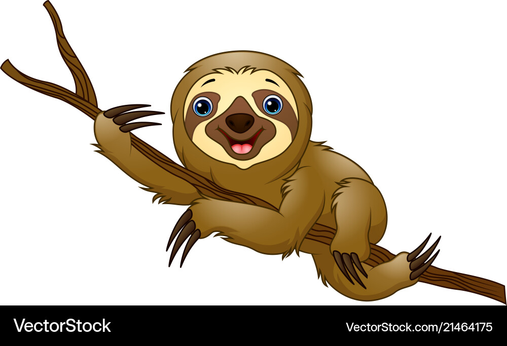 Cartoon sloth on a tree branch Royalty Free Vector Image