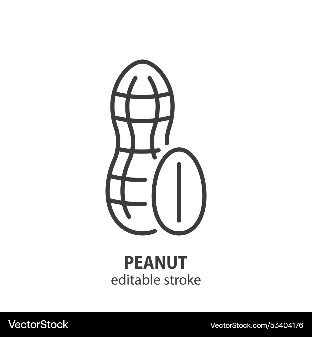 Peanut line icon nut sign Royalty Free Vector Image