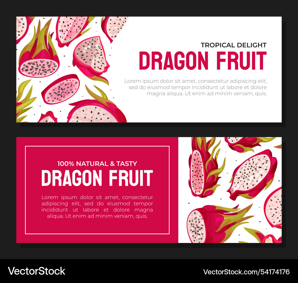 Pitaya or dragon fruit banner design with tropical