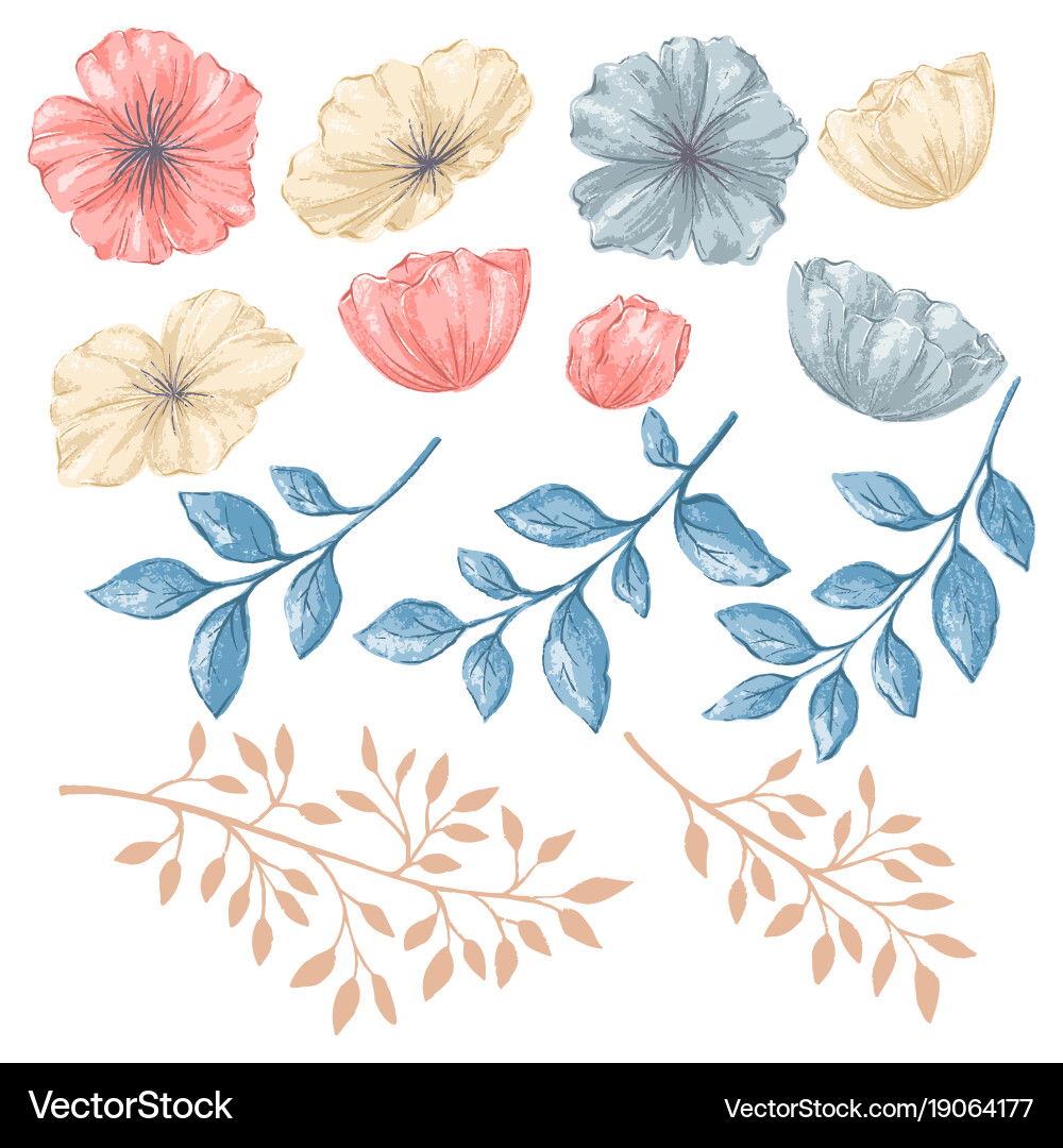 Floral isolated elements Royalty Free Vector Image