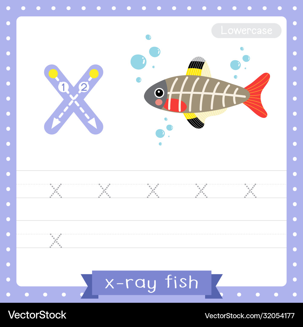 Letter X Lowercase Tracing Vector Images (33)