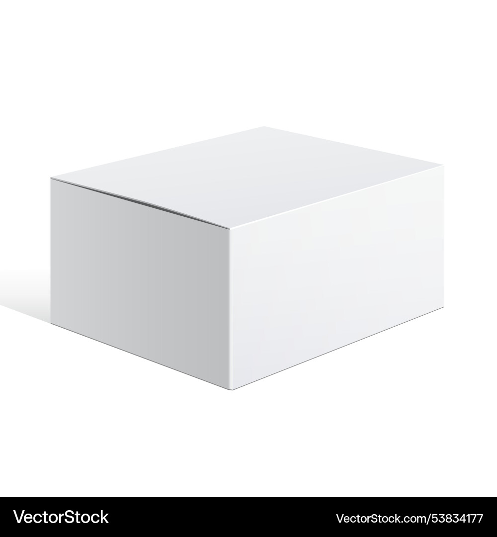 Realistic package cardboard box white color Vector Image