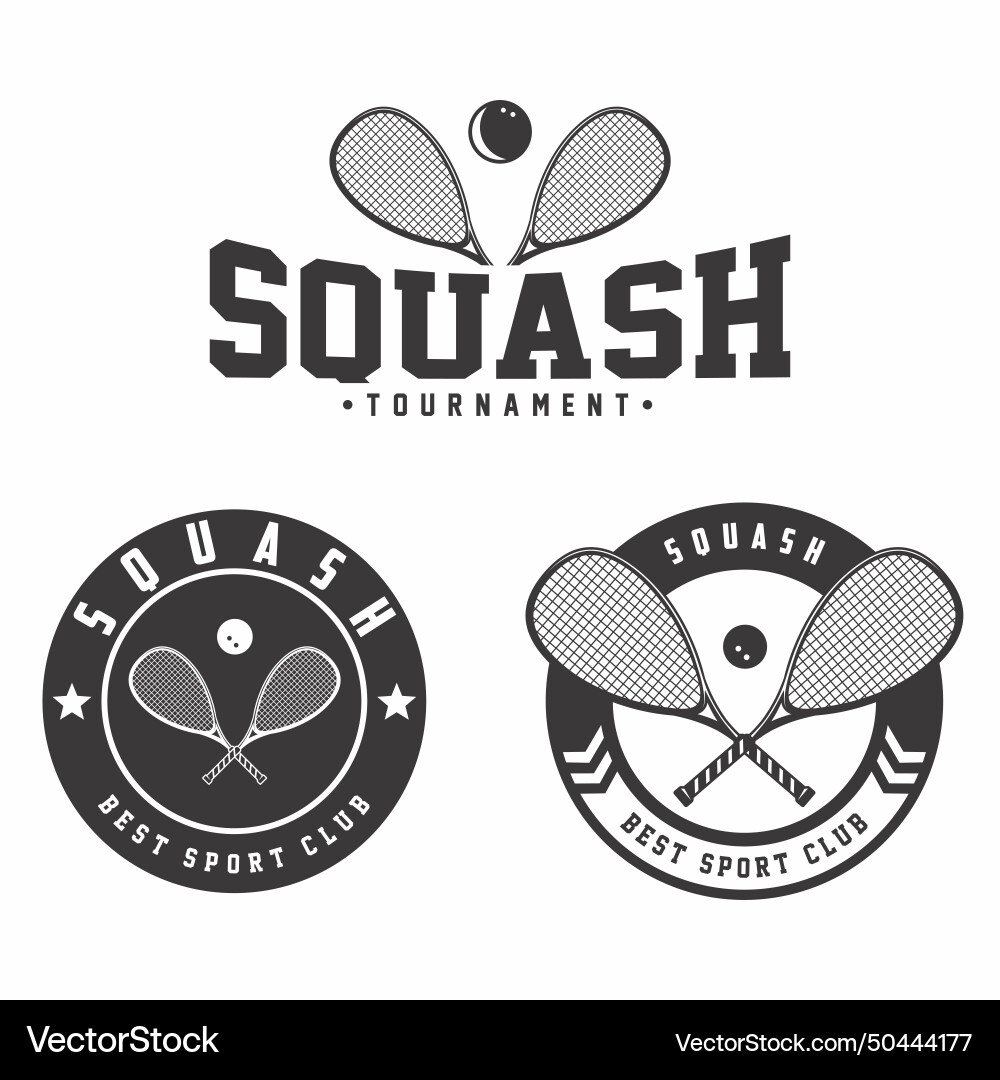 Squash logo collection emblem set collections Vector Image