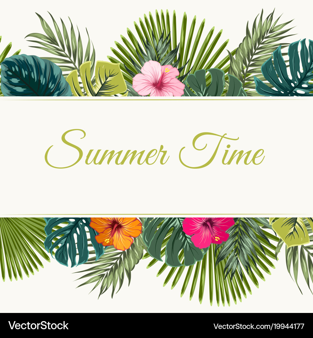 Summer time tropical design frame top bottom Vector Image