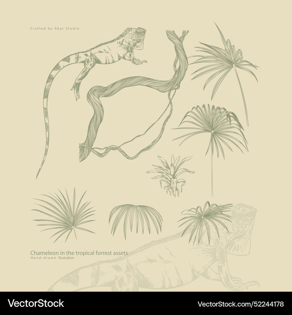 Chameleon in the tropical forest hand drawn asset Vector Image