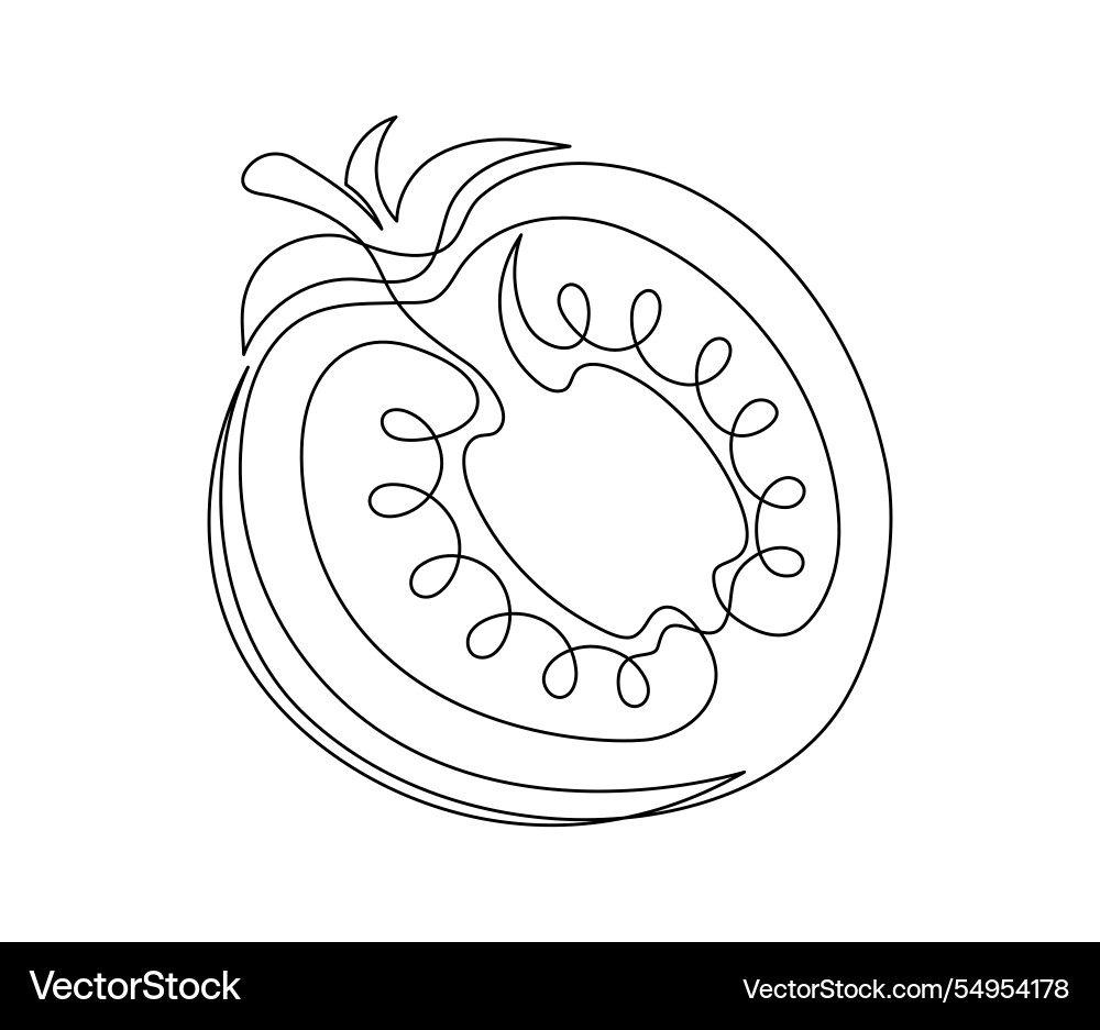 Tomato halves contour line isolated on white Vector Image