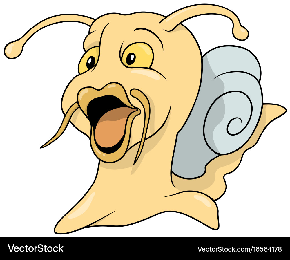 Water snail Royalty Free Vector Image - VectorStock