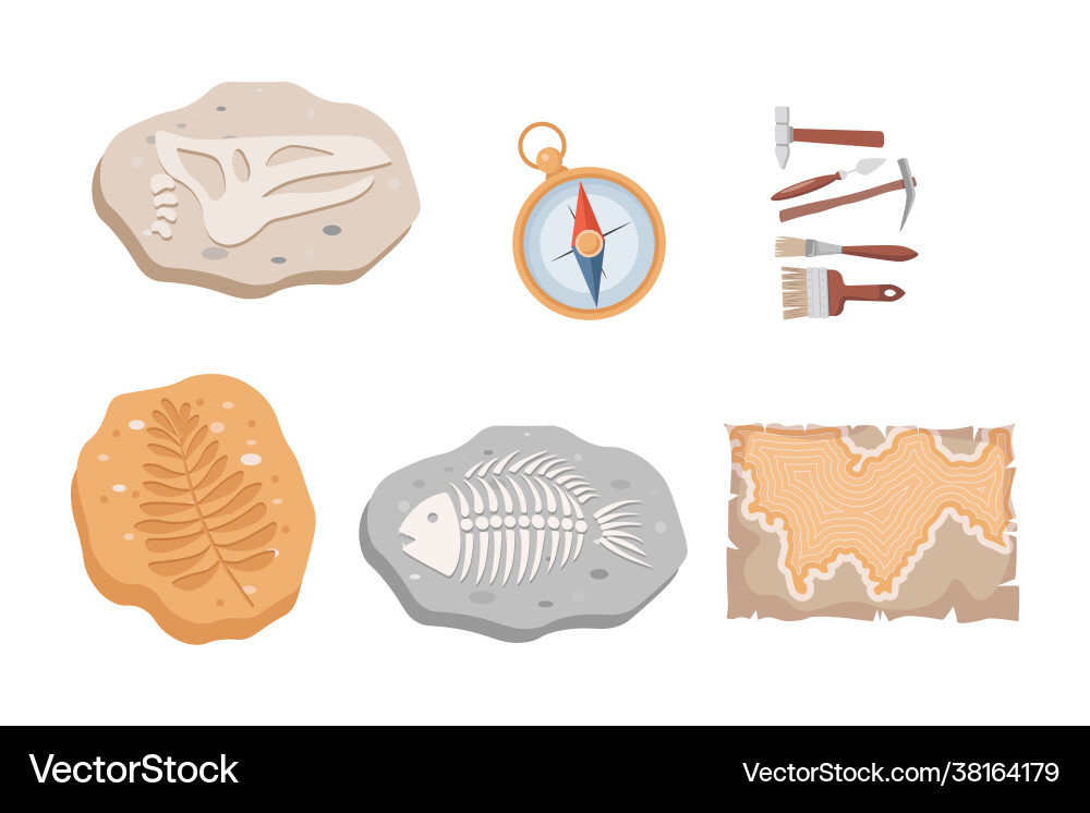 Fossil fish and dinosaurs skeletons plants Vector Image