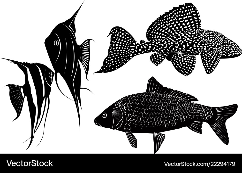 Set of fish silhouettes Royalty Free Vector Image