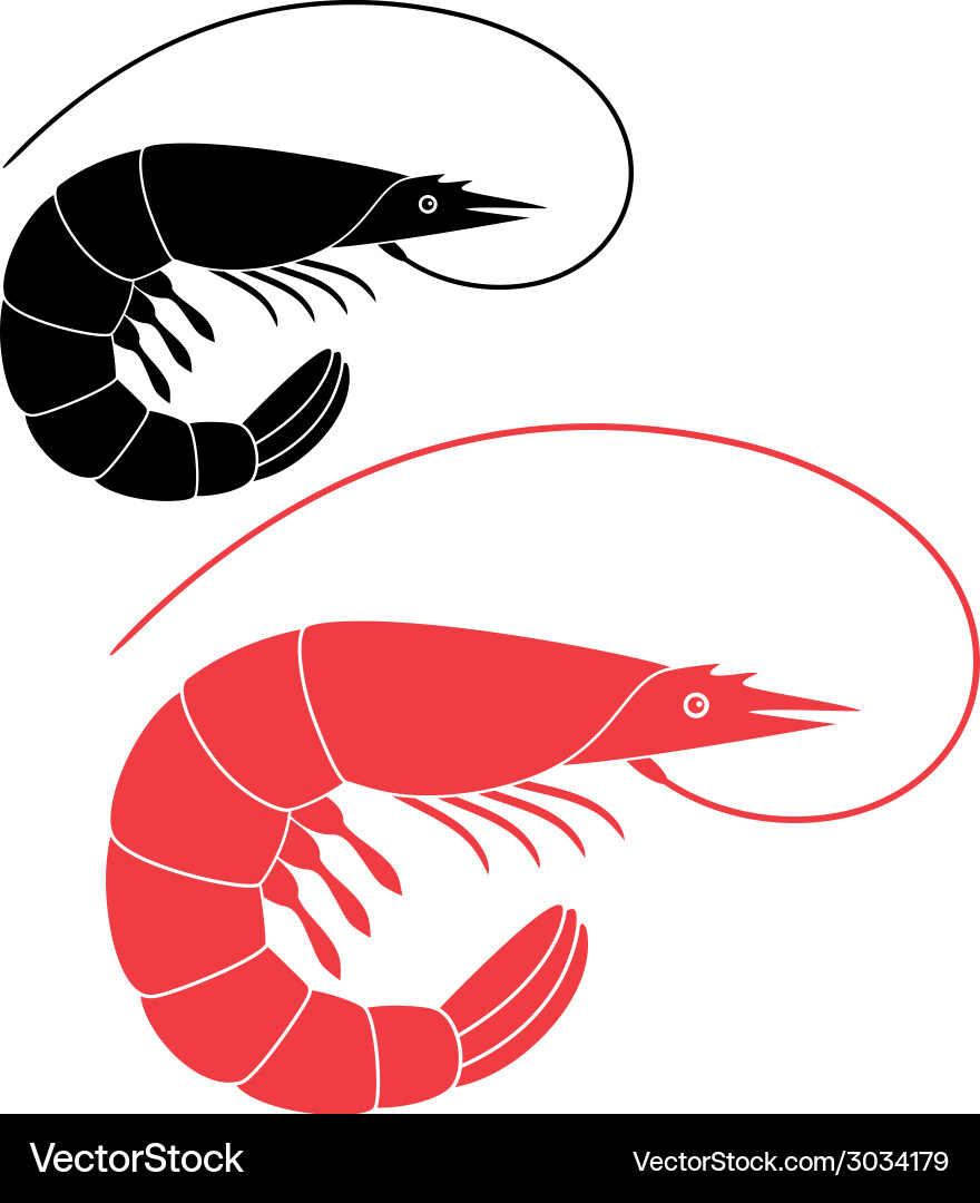 Shrimp Royalty Free Vector Image - VectorStock