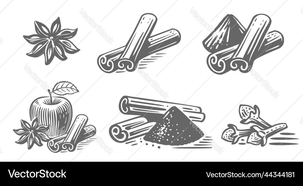 Cinnamon stick hand drawn sketch Royalty Free Vector Image