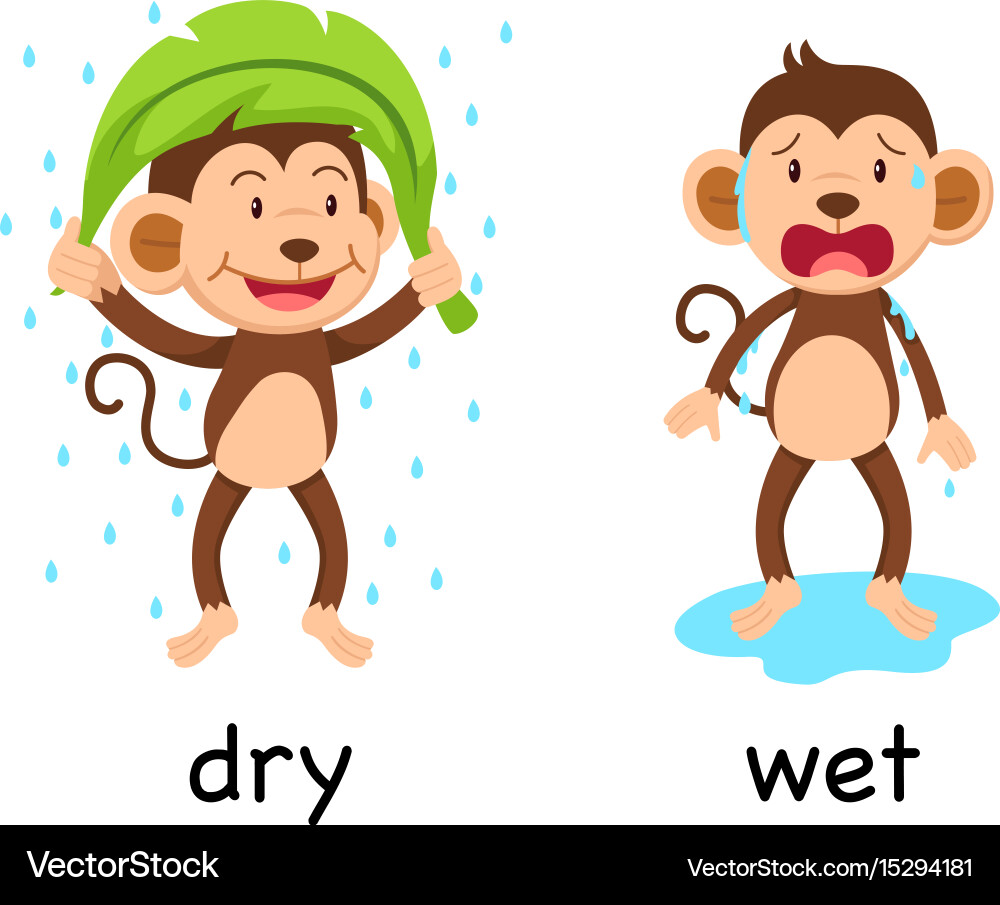 Dry vs Wet - Kids Learning Royalty Free Vector Image