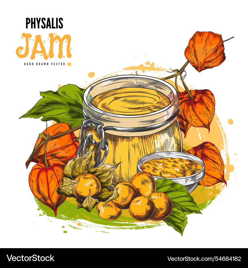 Glass jar with physalis plant jam leaves Vector Image