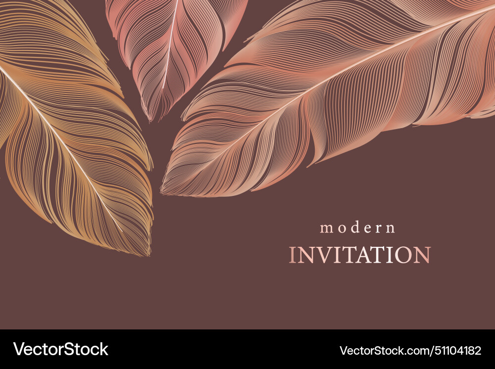 Pale feathers line art bird feather card Vector Image