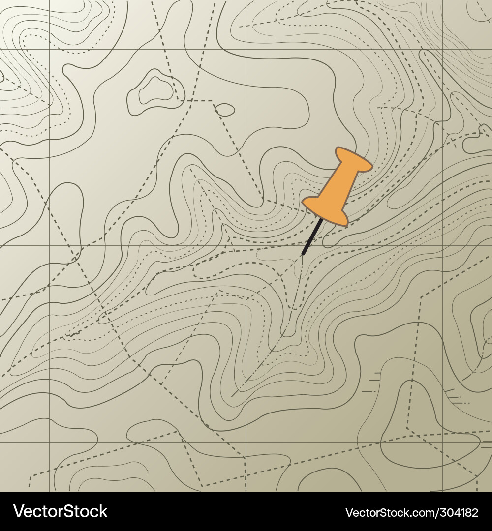 Topographic Map Background Royalty Free Vector Image