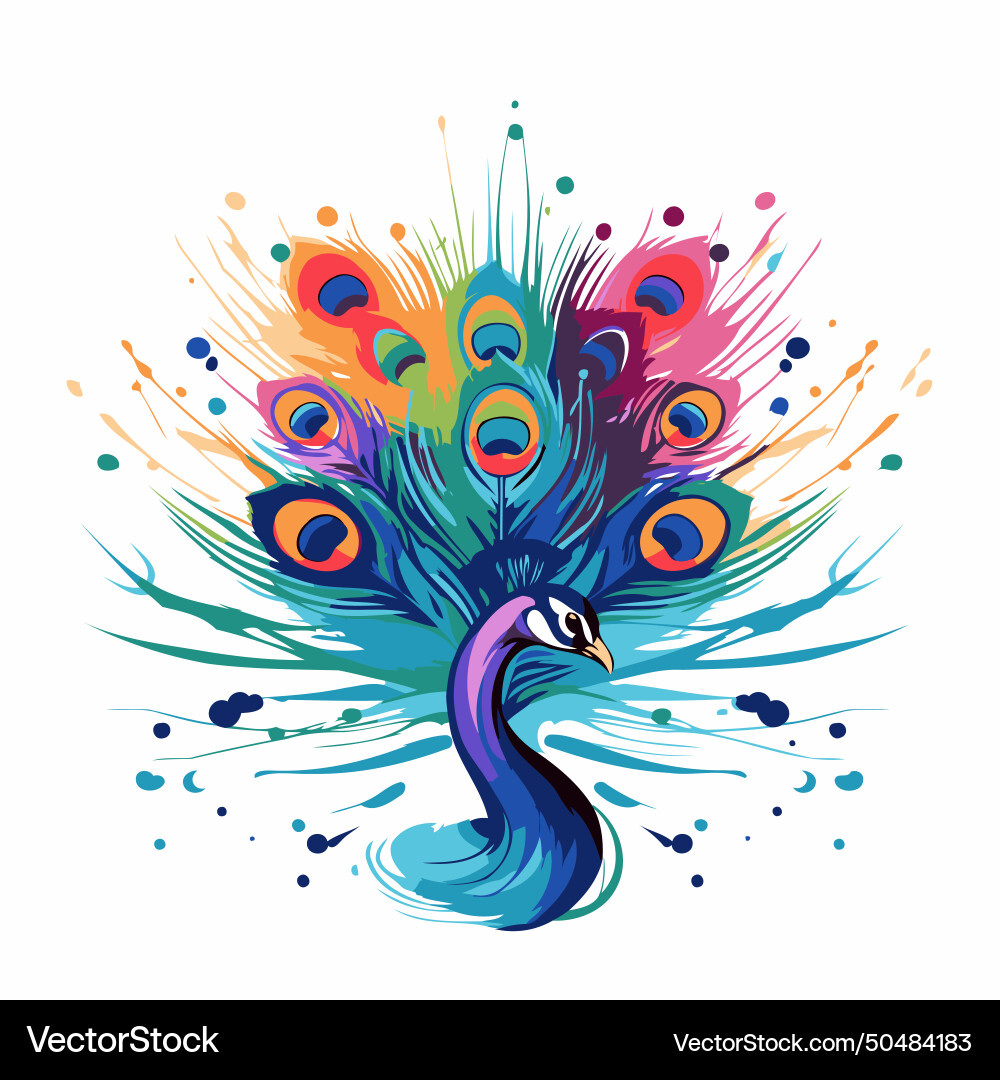 Colorful peacock head with feathers and splashes Vector Image