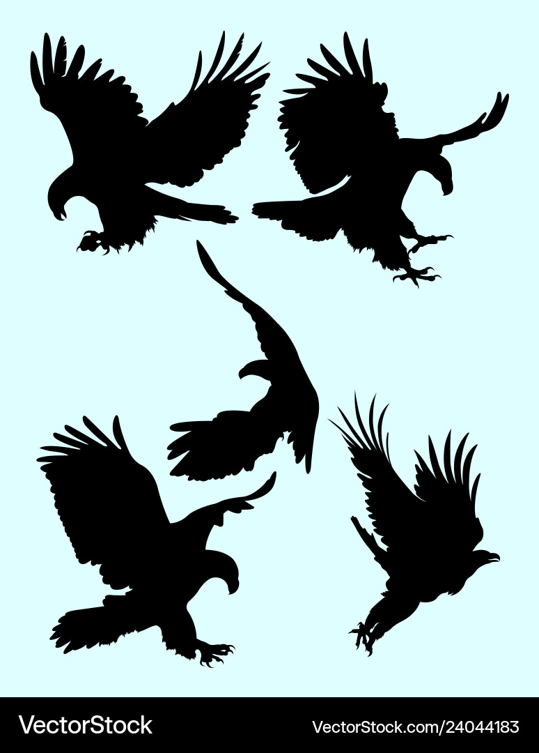 Eagle silhouette set Royalty Free Vector Image