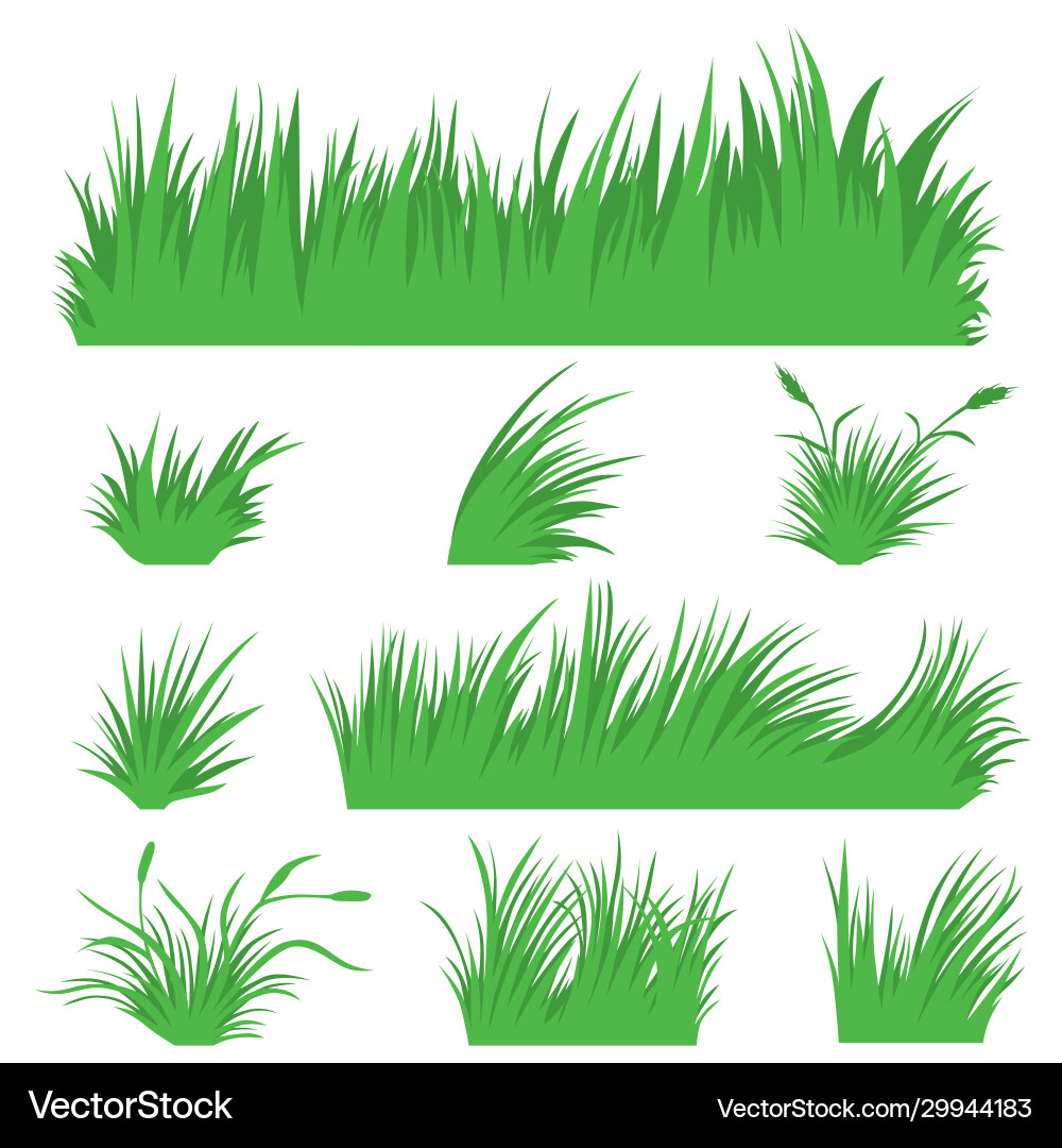 Grass set Royalty Free Vector Image - VectorStock