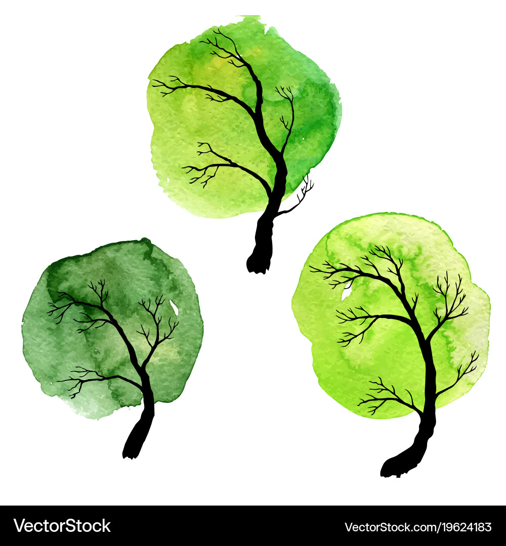 Set of deciduous trees Royalty Free Vector Image