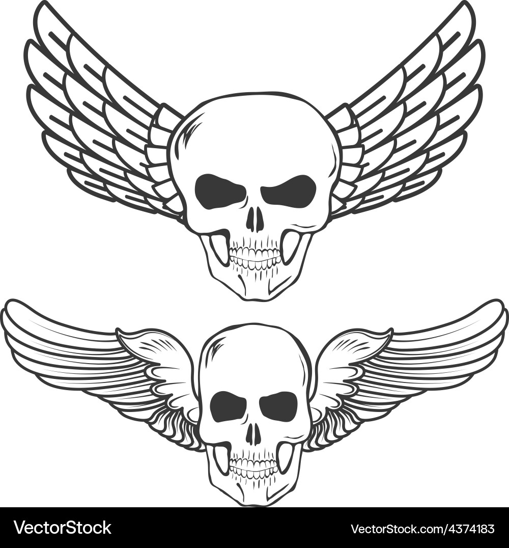 Winged skulls isolated on white background Vector Image