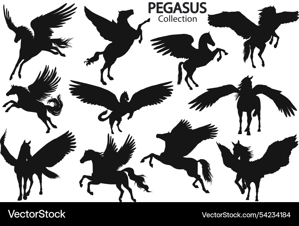 Pegasus silhouettes Royalty Free Vector Image - VectorStock