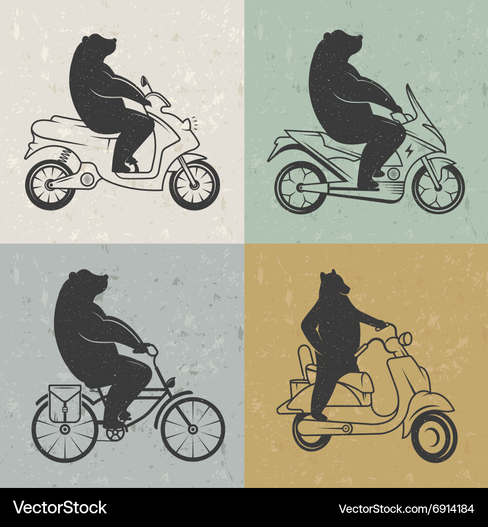 Vintage of bear Royalty Free Vector Image - VectorStock