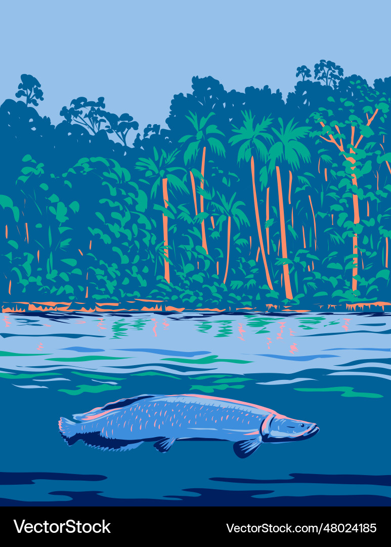 Arapaima Vector Images (70)