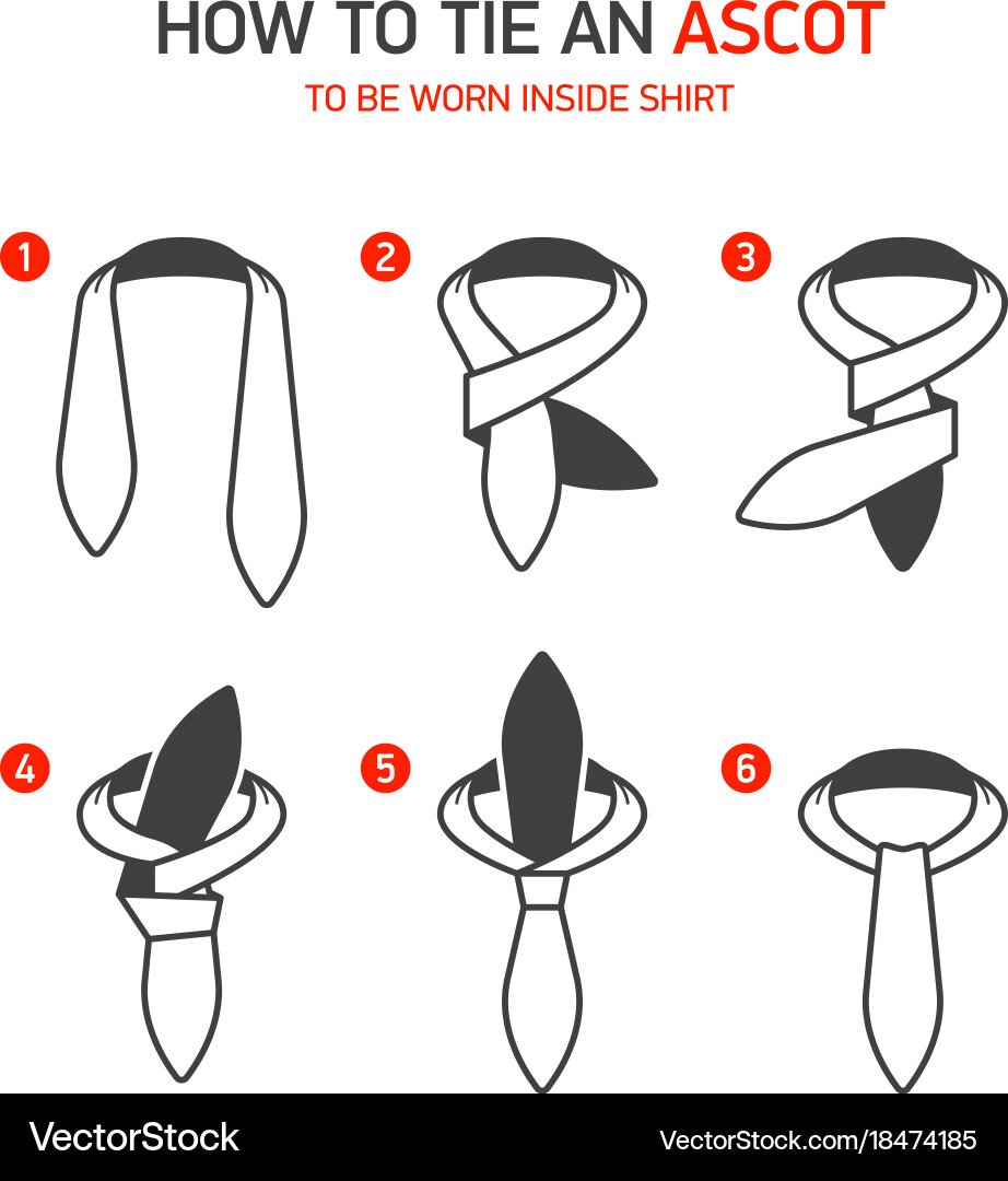 How to tie an ascot instructions Royalty Free Vector Image