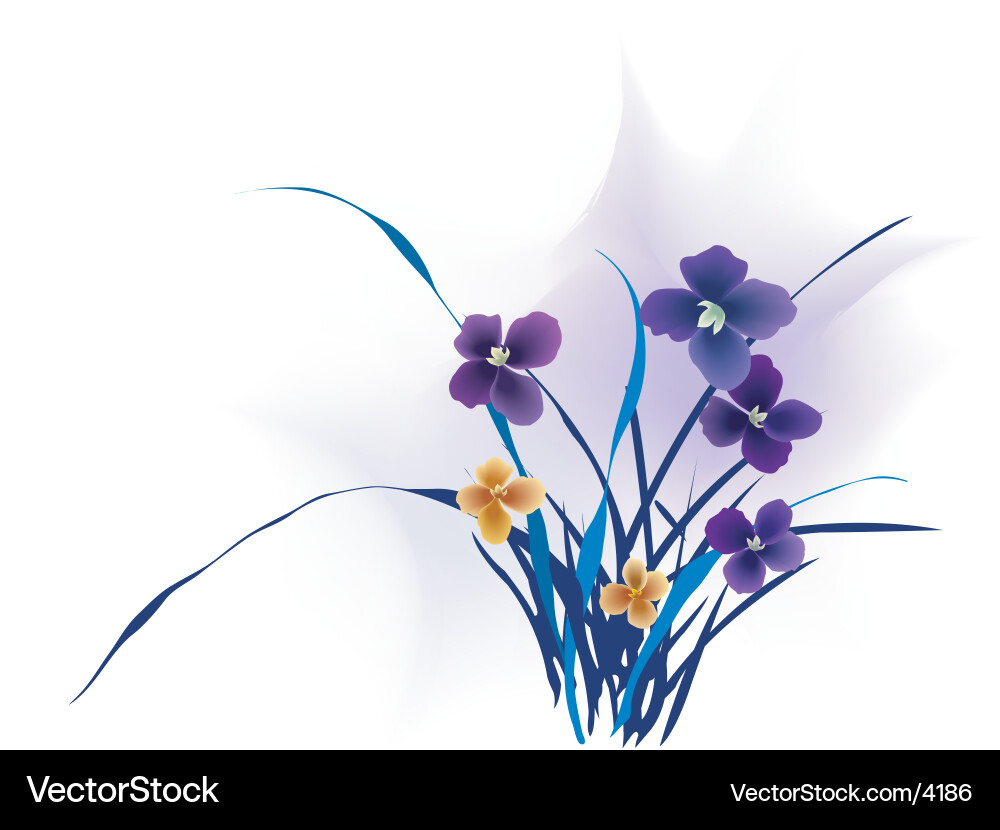 Orchid flowers Royalty Free Vector Image - VectorStock