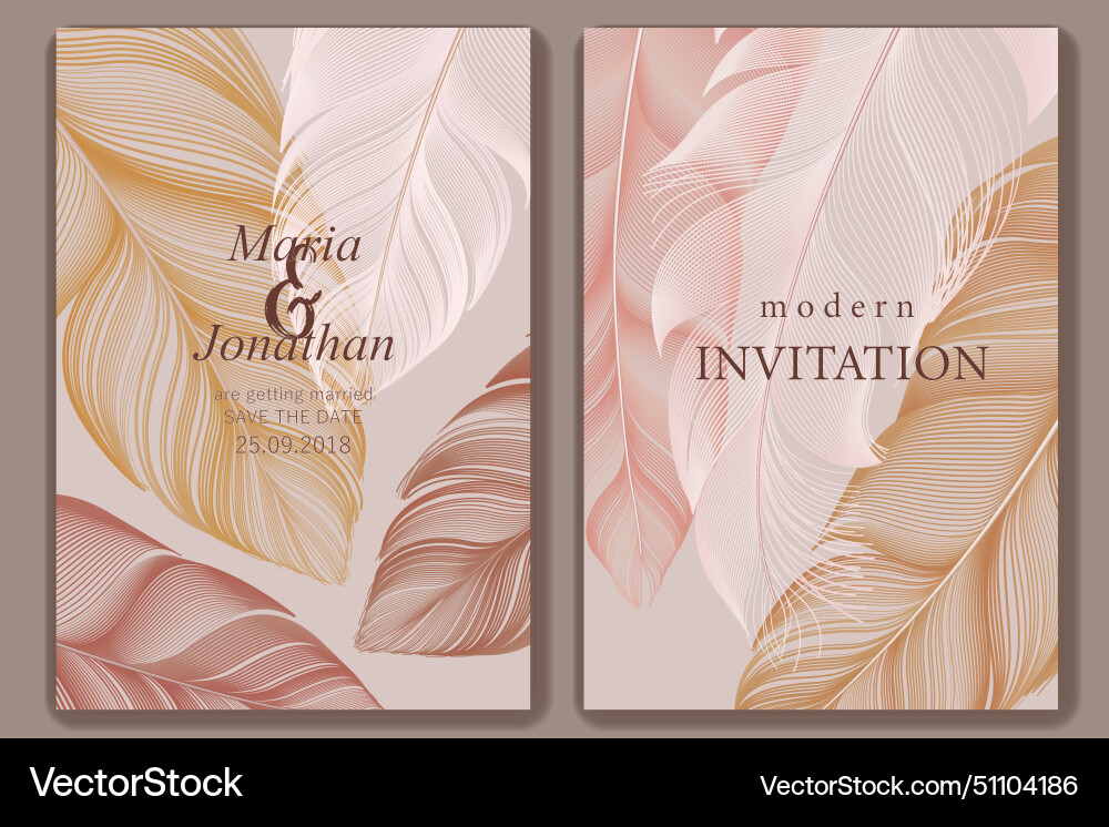 Pale feathers line art bird feather card Vector Image