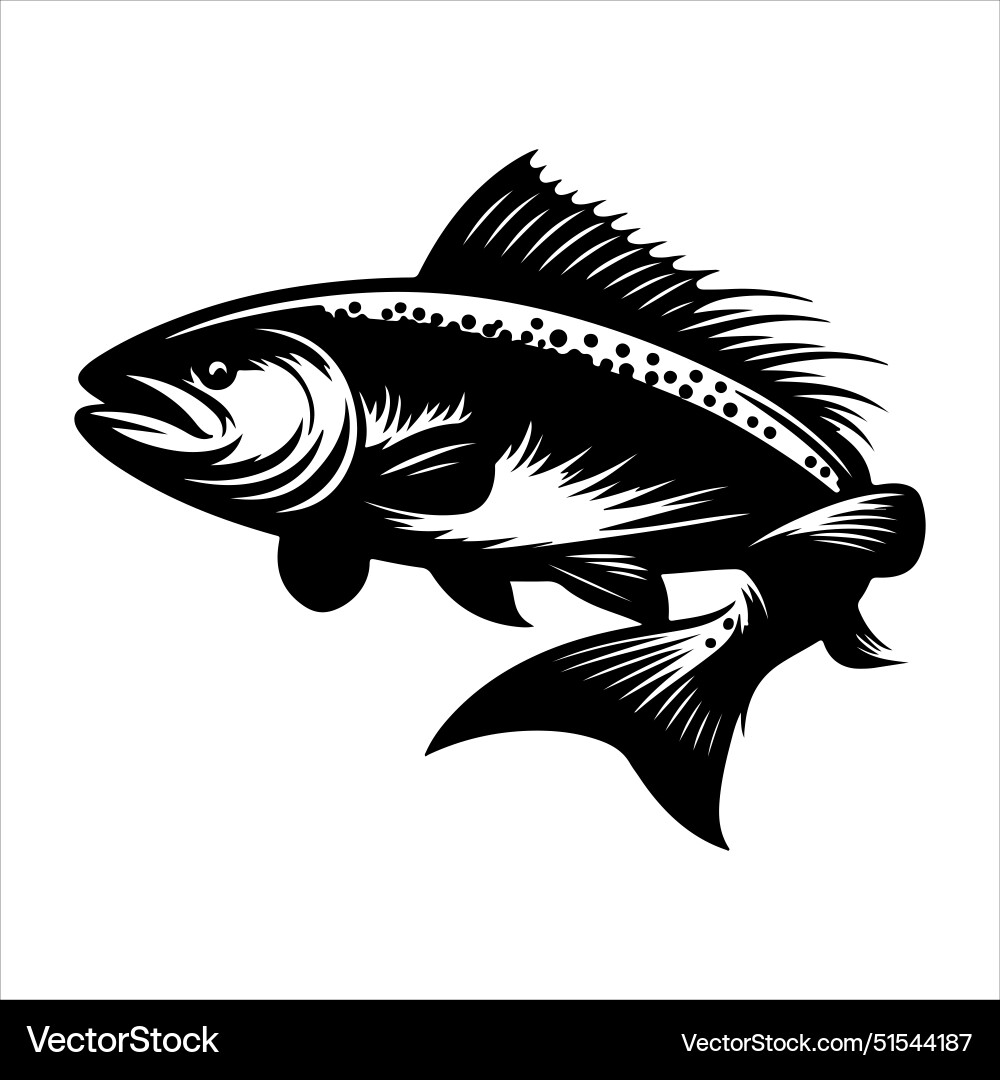 Black and white fish on background Royalty Free Vector Image