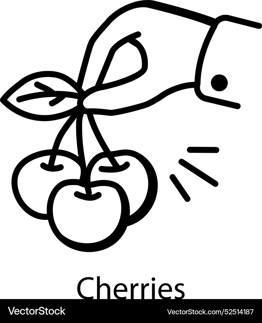 Cherries Royalty Free Vector Image - VectorStock