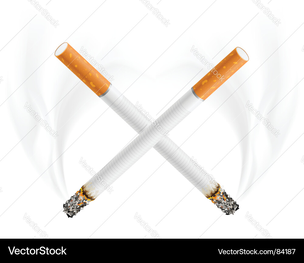 Cigarettes Royalty Free Vector Image - VectorStock