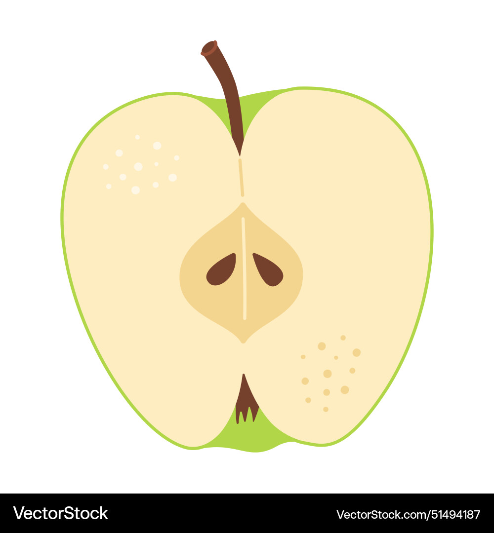 Green apple cut in half hand drawn trendy flat Vector Image