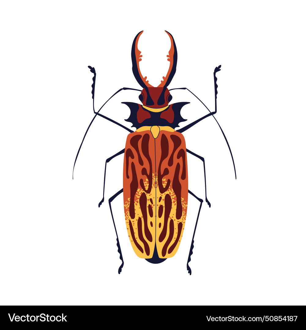 Macrodontia cervicornis bug big sabertooth Vector Image