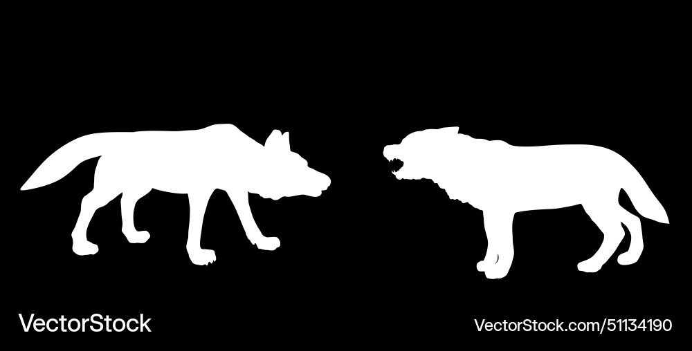 Alpha wolf fight against opponent silhouette Vector Image
