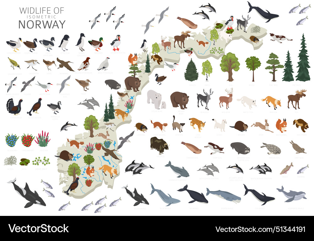 Norway Wildlife Isometric Animals Royalty Free Vector Image