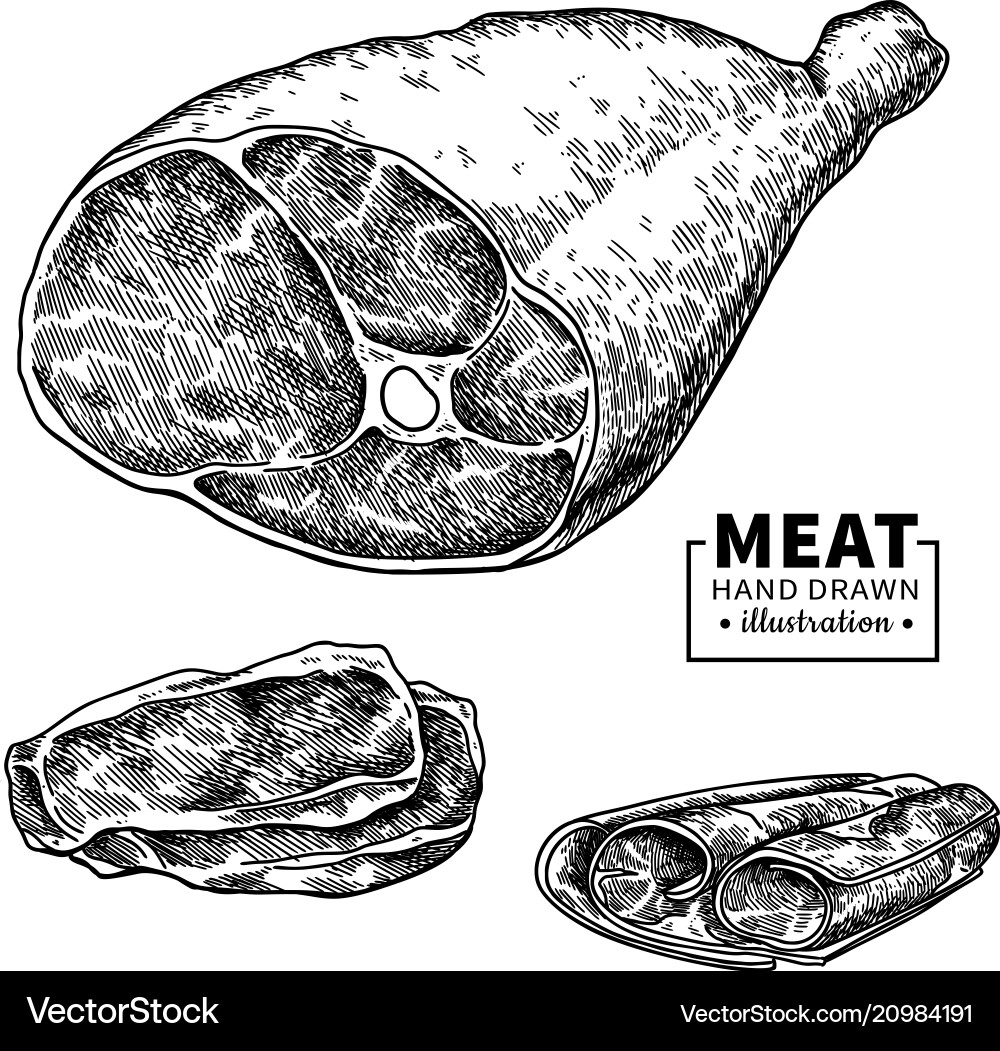 Parma ham drawing hand drawn hamon meat Royalty Free Vector