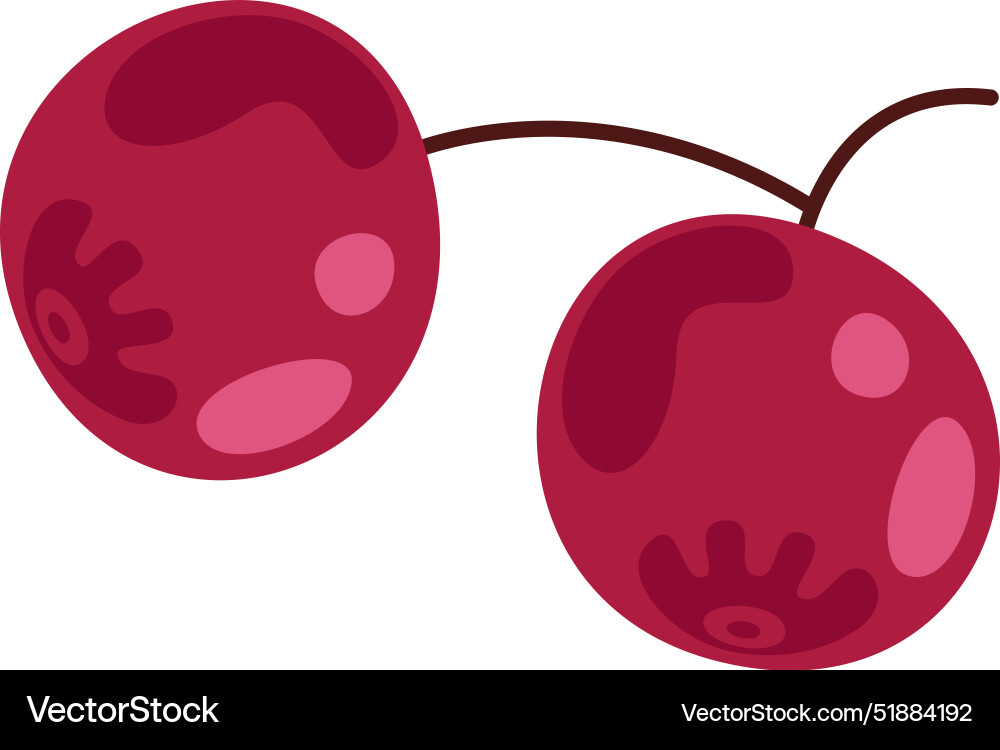 Cranberry berries branch Royalty Free Vector Image