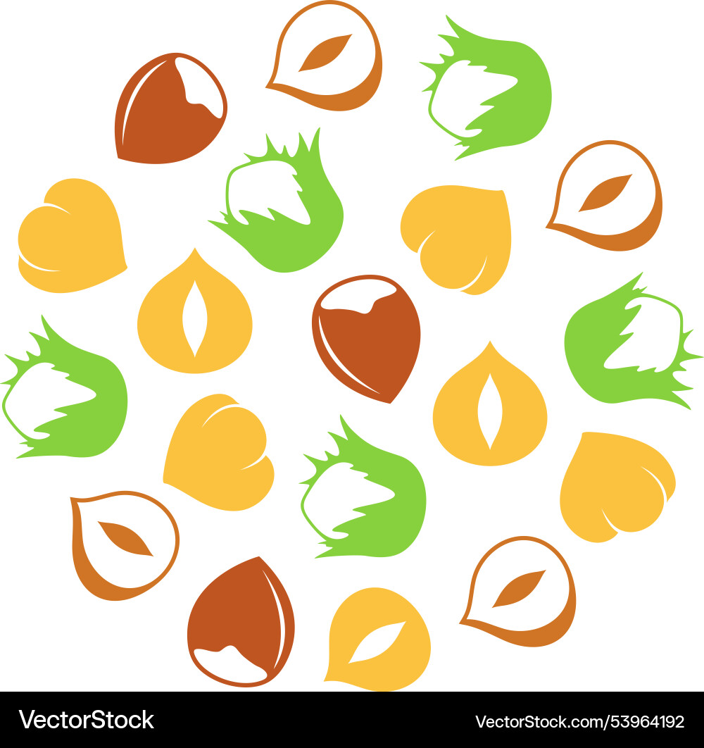 Hazelnut Royalty Free Vector Image - VectorStock
