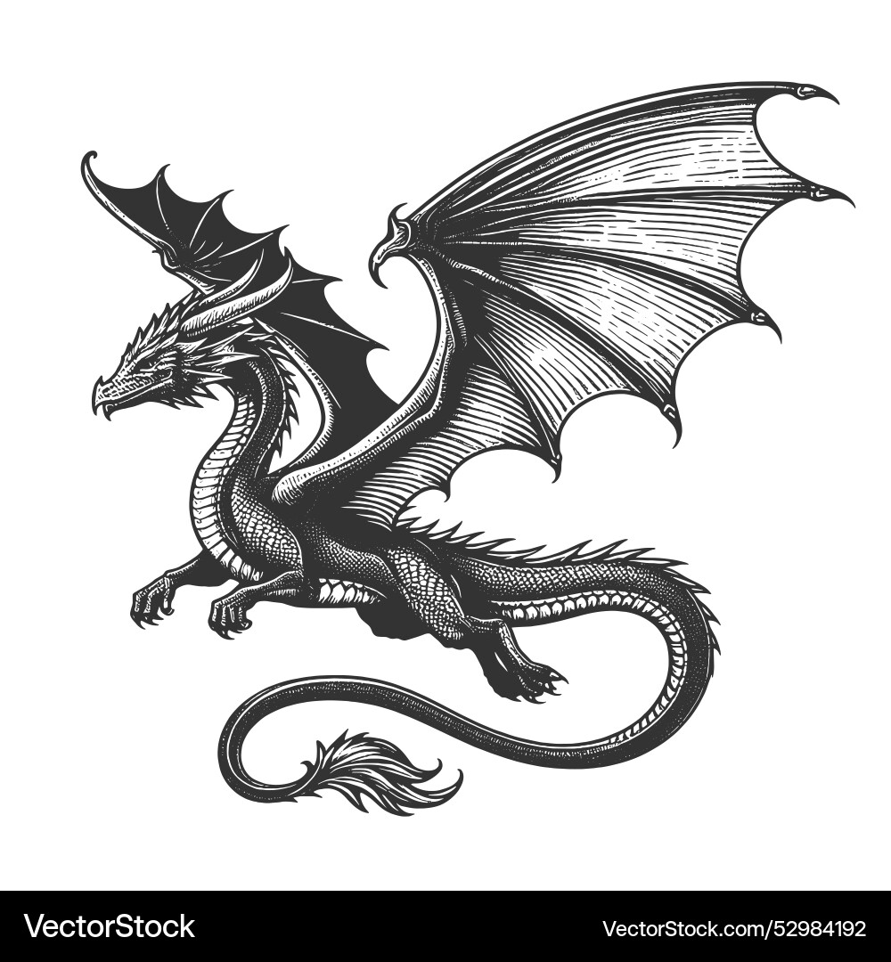 Intricate dragon engraving Royalty Free Vector Image