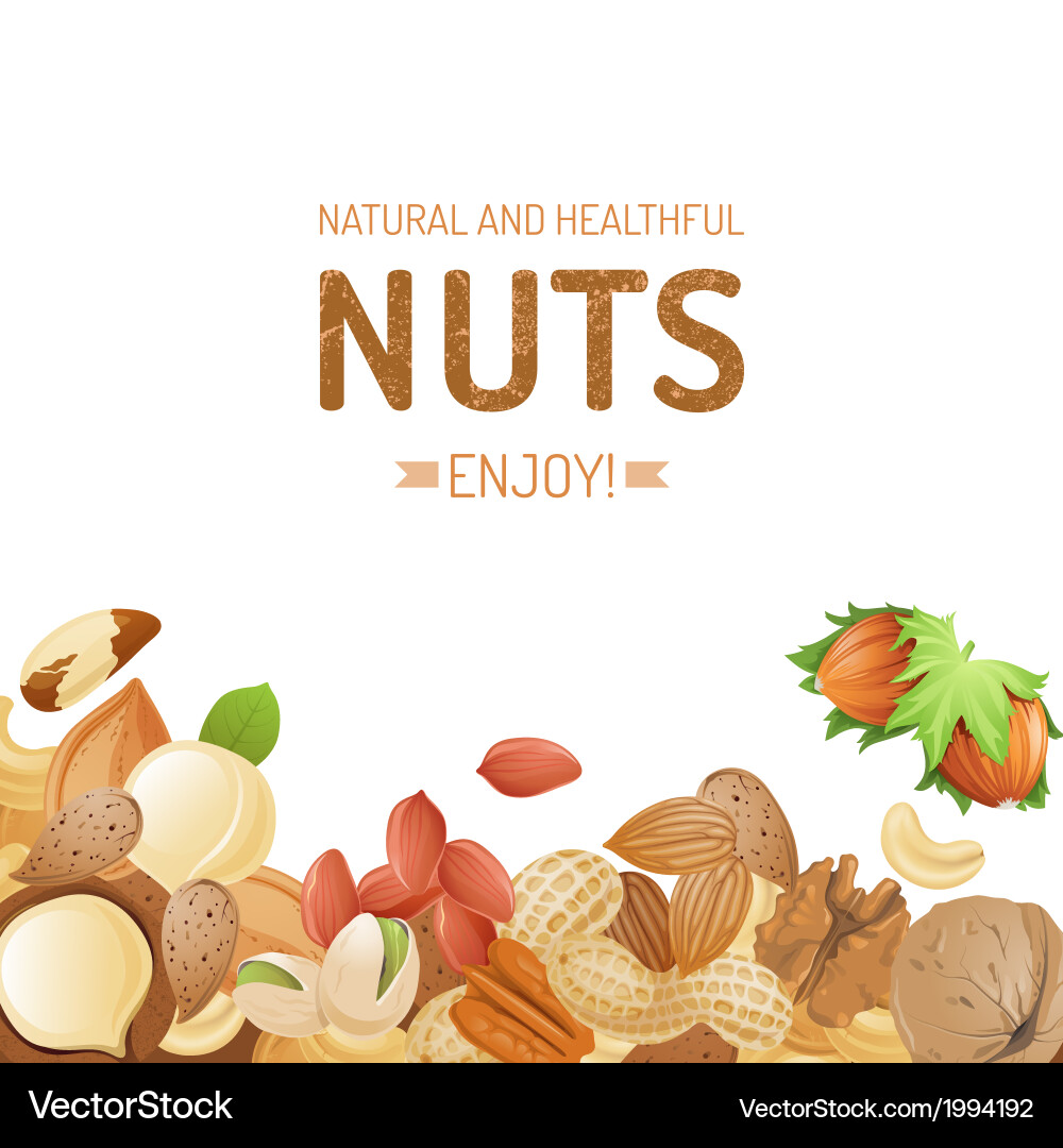 Nuts background Royalty Free Vector Image - VectorStock