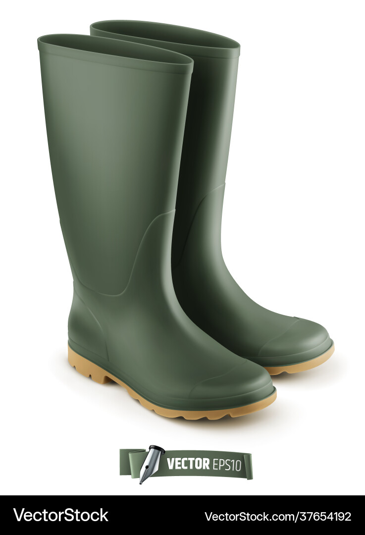 Realistic rubber boots Royalty Free Vector Image